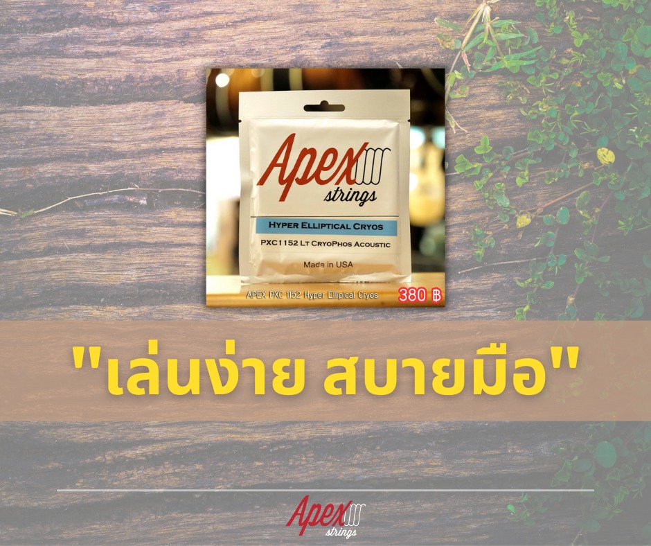 CIN GUITARS ร้านกีต้าร์โปร่งคุณภาพอันดับหนึ่ง ผู้นำเข้าและจัดจำหน่ายเครื่องดนตรีชั้นนำ แบรนด์ ...